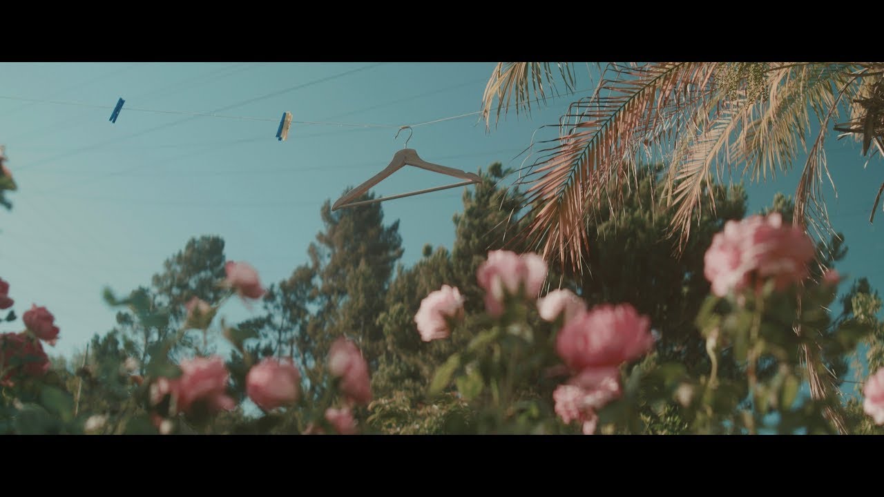 BLOOM SHORT FILM Trailer (2021) - YouTube