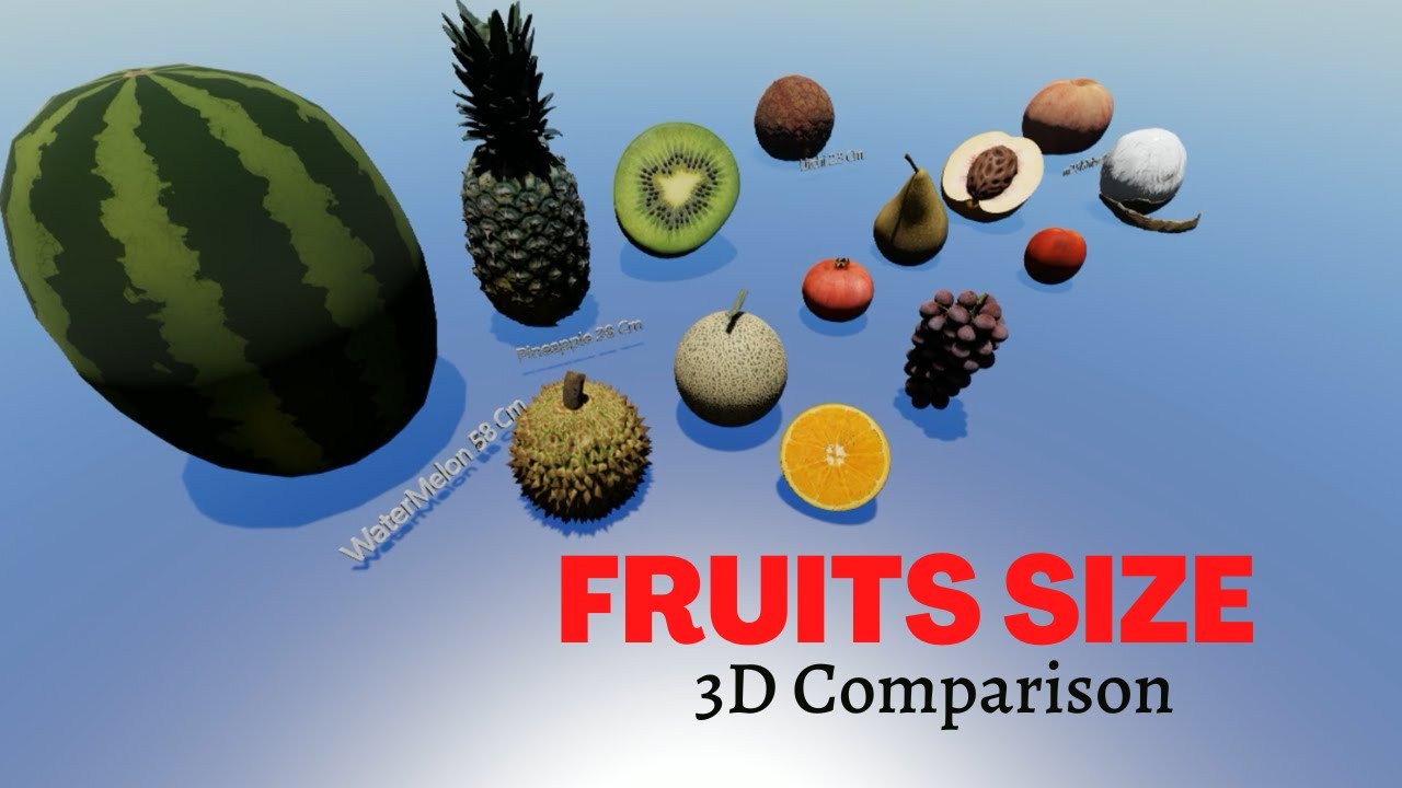 Fruits Size Comparison 3D 🍊🍋🥝 - YouTube