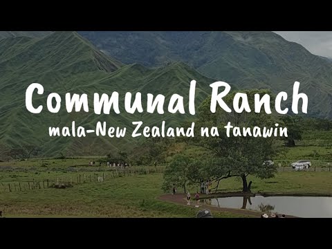 Experience Bukidnon's Popular Communal Ranch In Impasugong - Feel Like ...