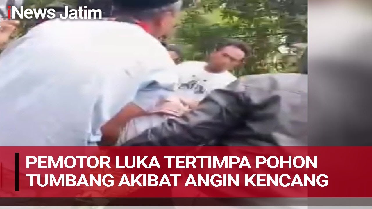 PEMOTOR LUKA TERTIMPA POHON TUMBANG AKIBAT ANGIN KENCANG - YouTube