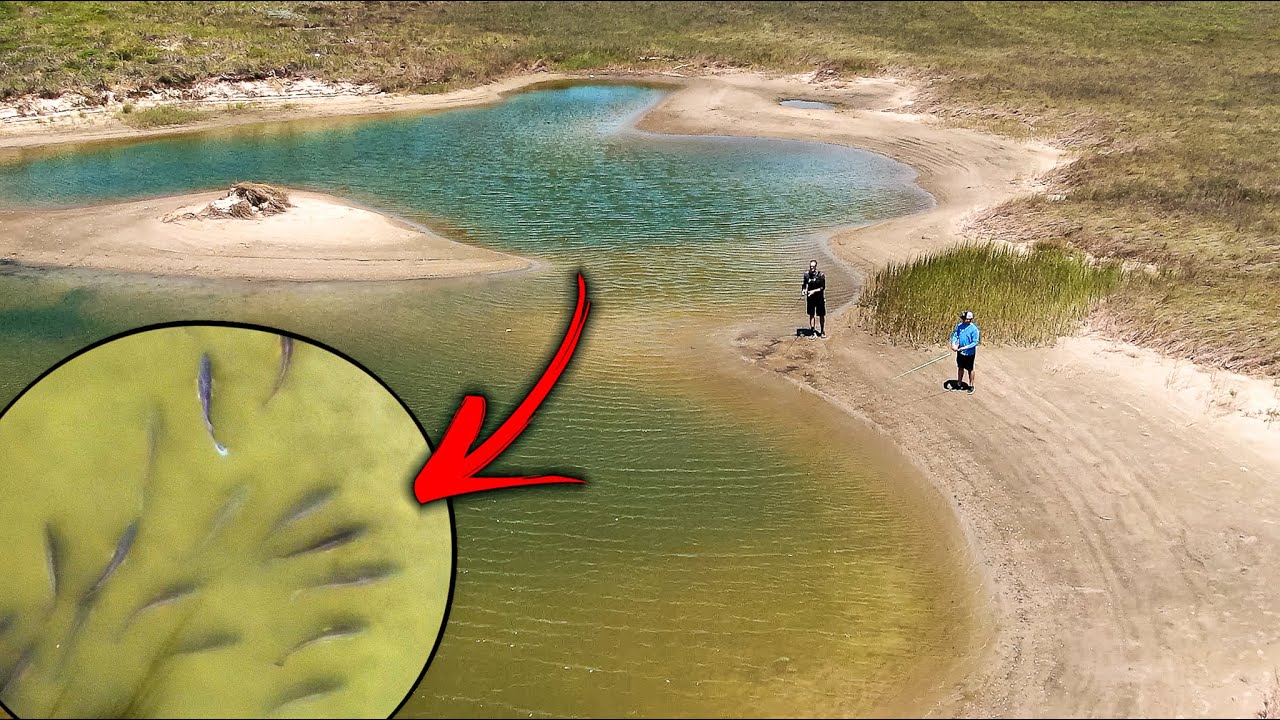 saving fish from saltwater puddle ponds! (too late now) Part 2 - YouTube