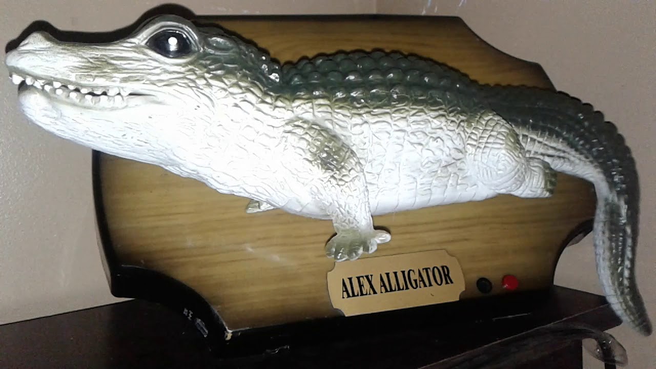 Alex alligator (after repairs) - YouTube
