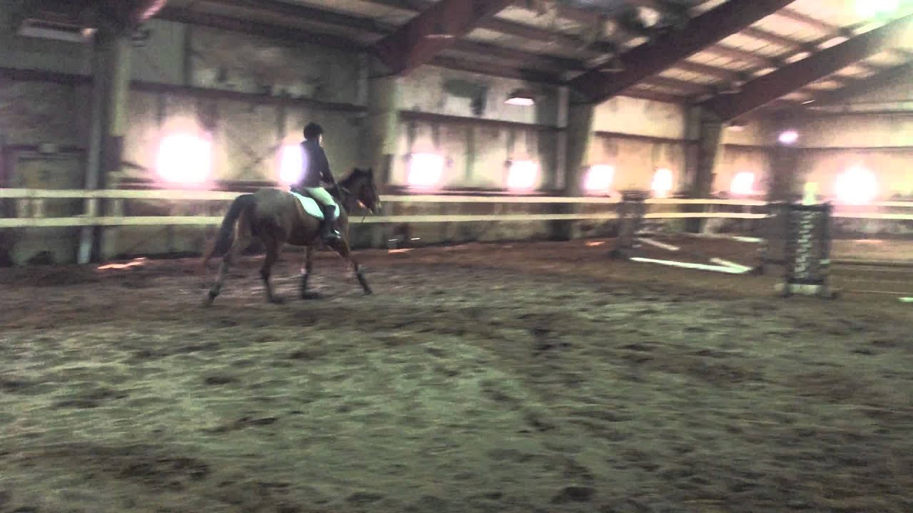 Counting Strides 5 (School Project) - YouTube