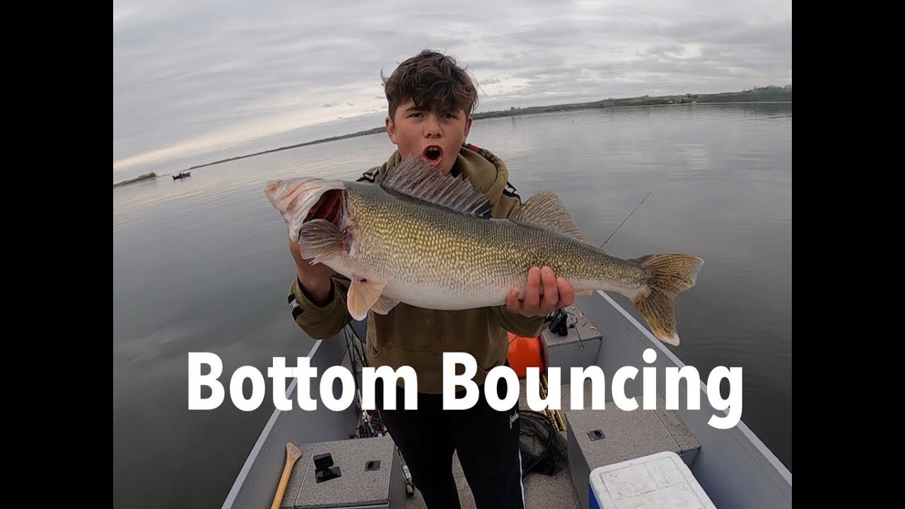 EFFECTIVELY Catching Bottom Bouncer Walleyes (Tips and Tricks) - YouTube