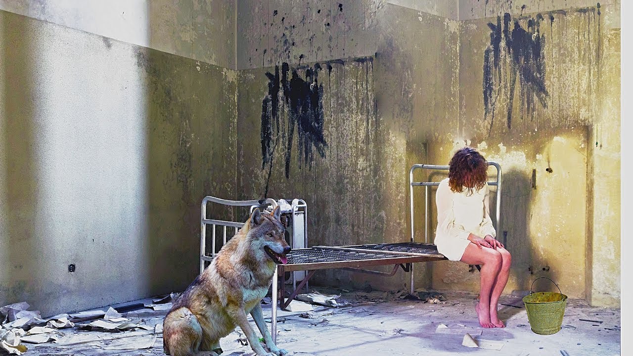 The man kept the girl in the basement of an old house. And only the ...