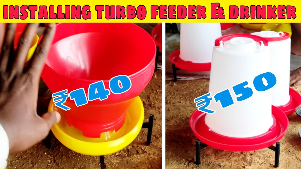 New turbo feeder and drinker ll installation ll poultry farmer domon ll ...