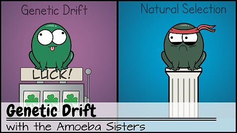 Amoeba Sisters Evolution Playlist - YouTube