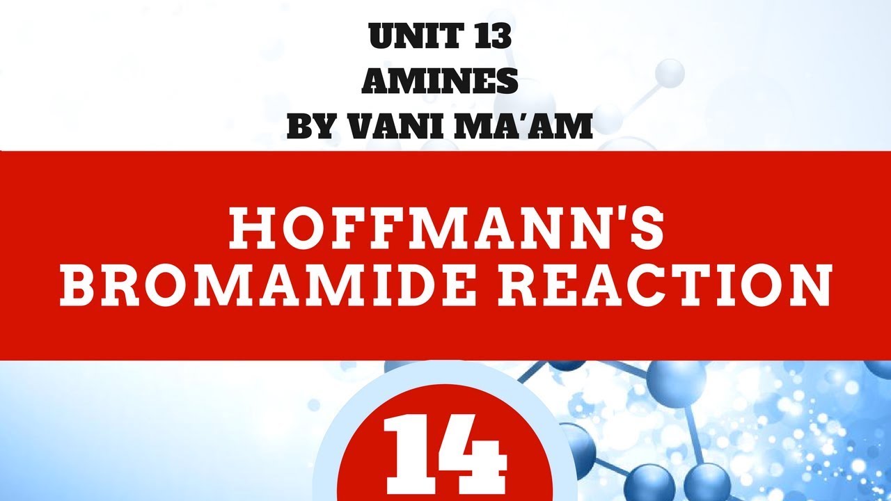 Hoffmann's bromamide degradation Reaction | Part 14| class 12 |unit 13 ...
