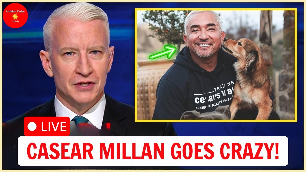 LIVE: Cesar Millan JUST COLLAPSED In Court After Hearing His Sentence ...
