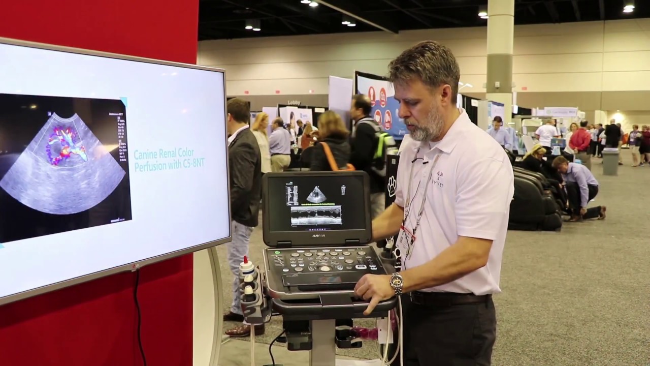 Introducing the MyVet Imaging Ecube i7 Portable Ultrasound - YouTube