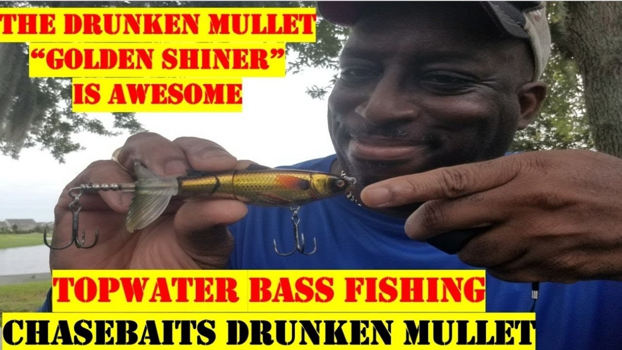 Chasebaits Drunken Mullet Bass Lure for Fall Bass Fishing - YouTube