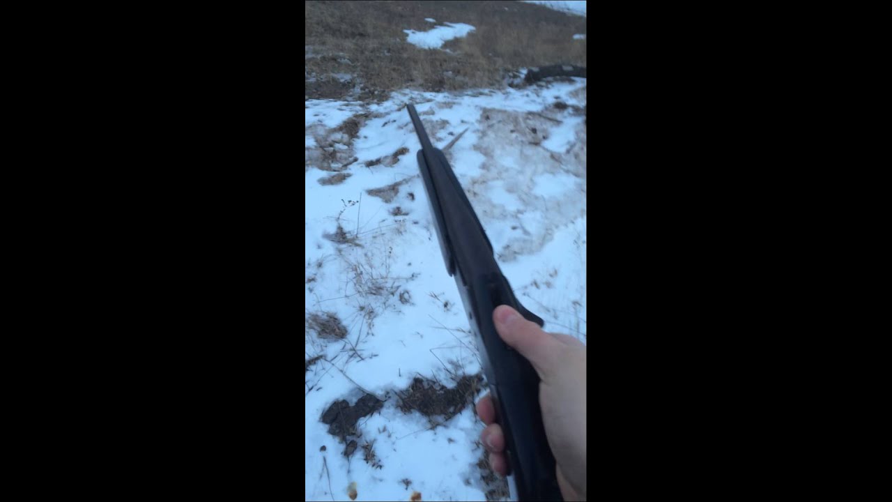 Sawed off .410 one handed shot POV - YouTube