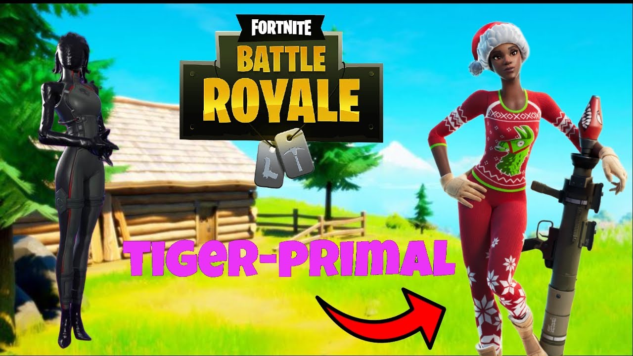 Fortnite (Battle Royale) | The Cool Gamer - YouTube