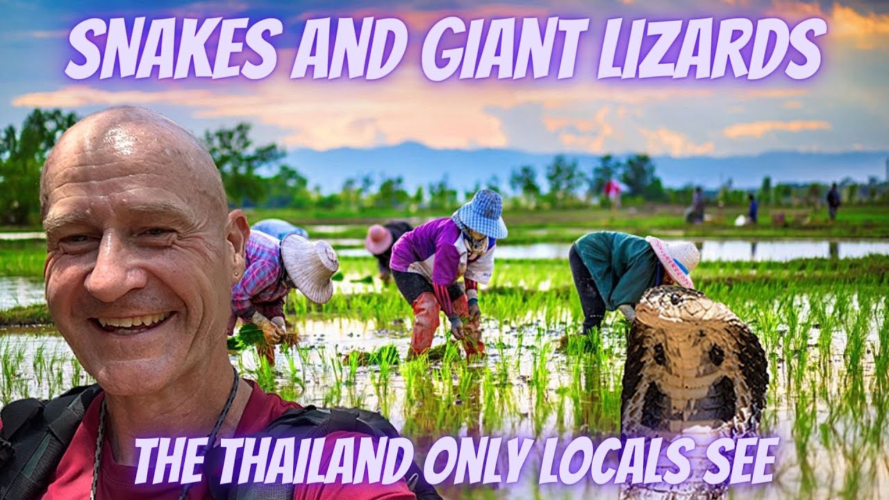 Snakes and Giant Lizards-The Thailand Only Locals See 4K - YouTube