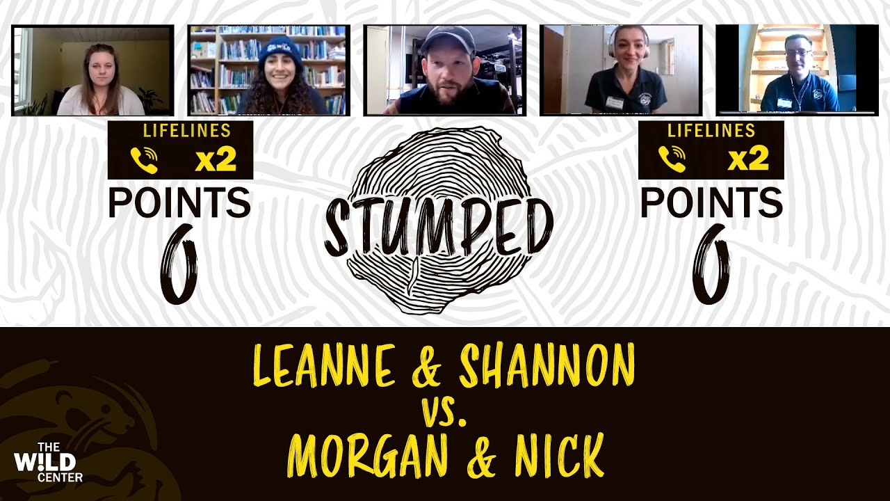 Stumped: A Wild Center Trivia Show | Episode 2 - YouTube