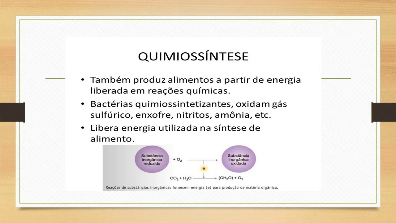 Fotossíntese e Quimiossíntese em bactérias - YouTube