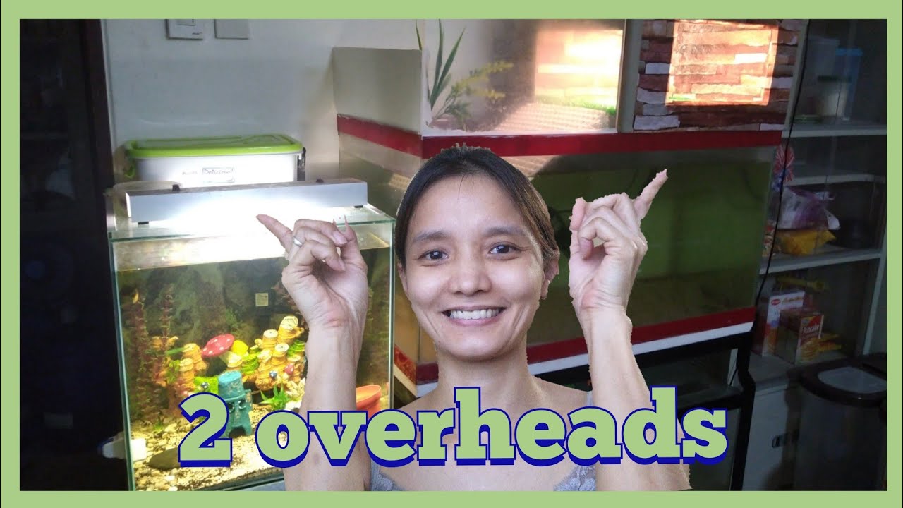 DIY overhead filter and overhead basking area - YouTube