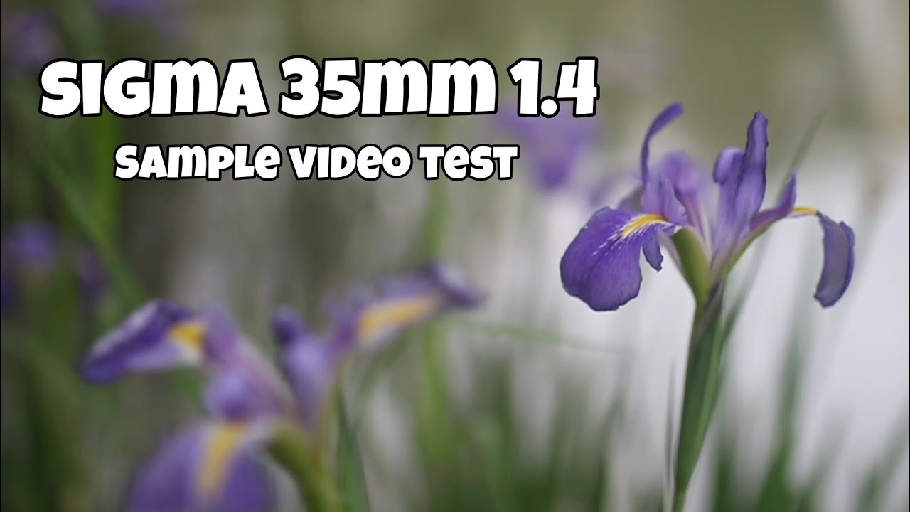 SAMPLE VIDEO TEST | SIGMA 35mm 1.4 - YouTube