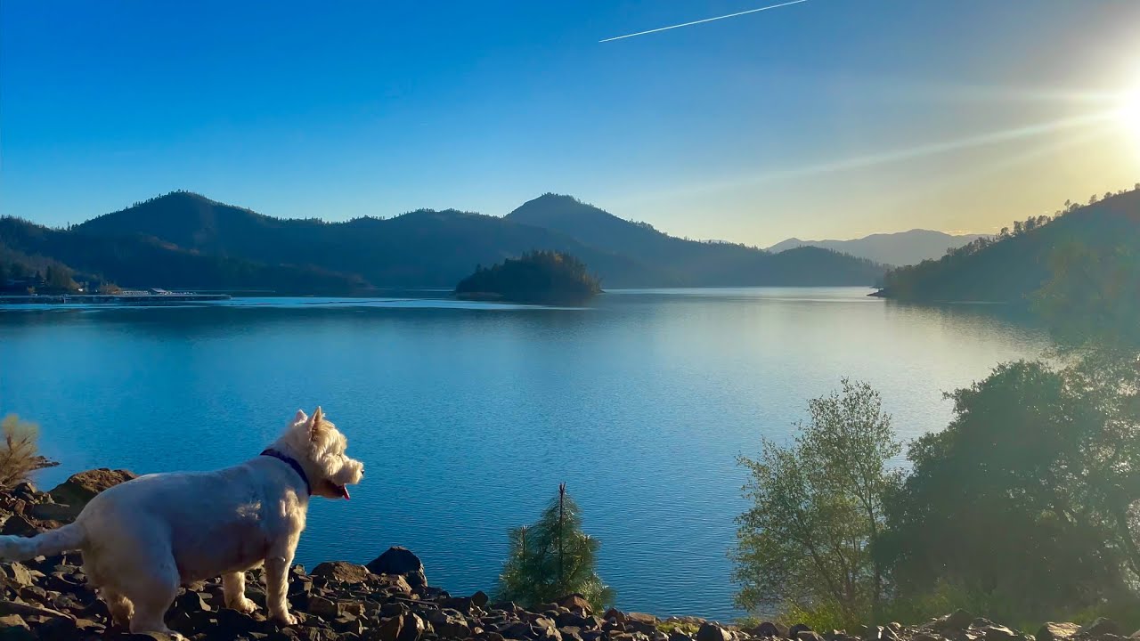 Revised Intro - YouTube