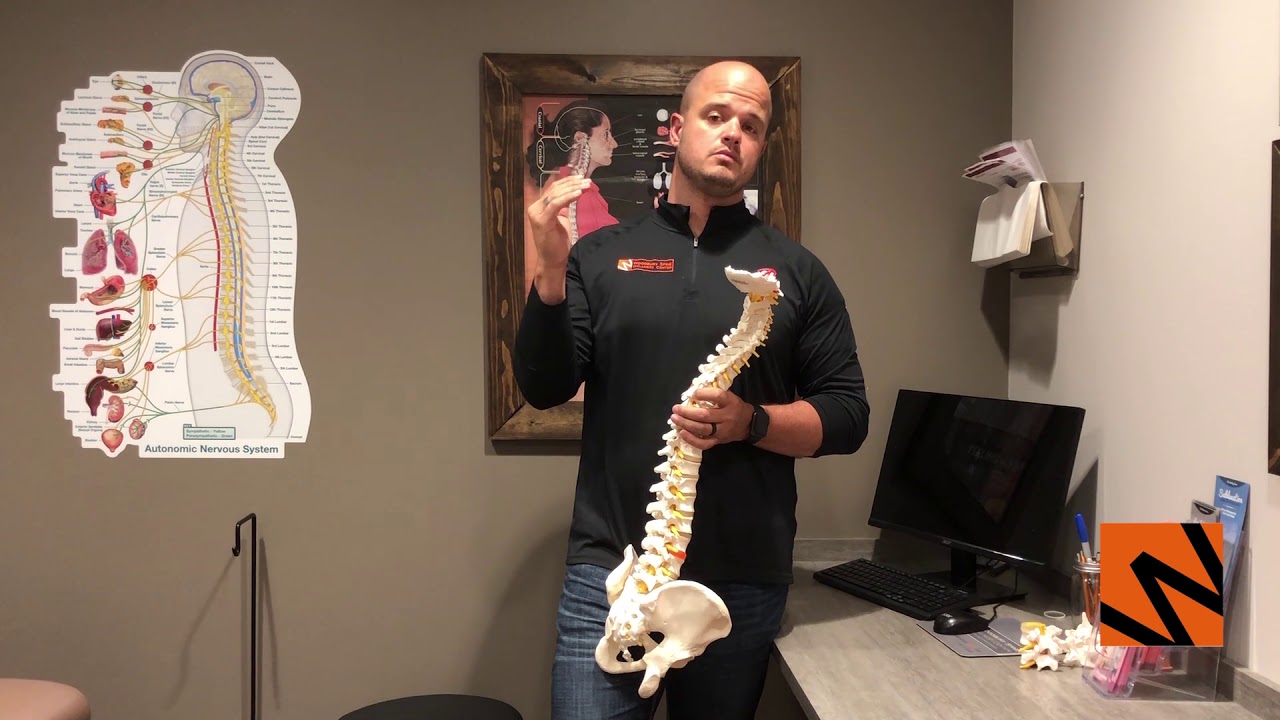 Woodbury Mn Chiropractor What Causes Headaches Every Day Youtube