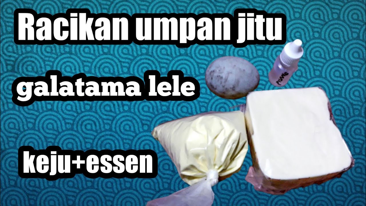 galatama lele|| racikan keju basi buat lele - YouTube