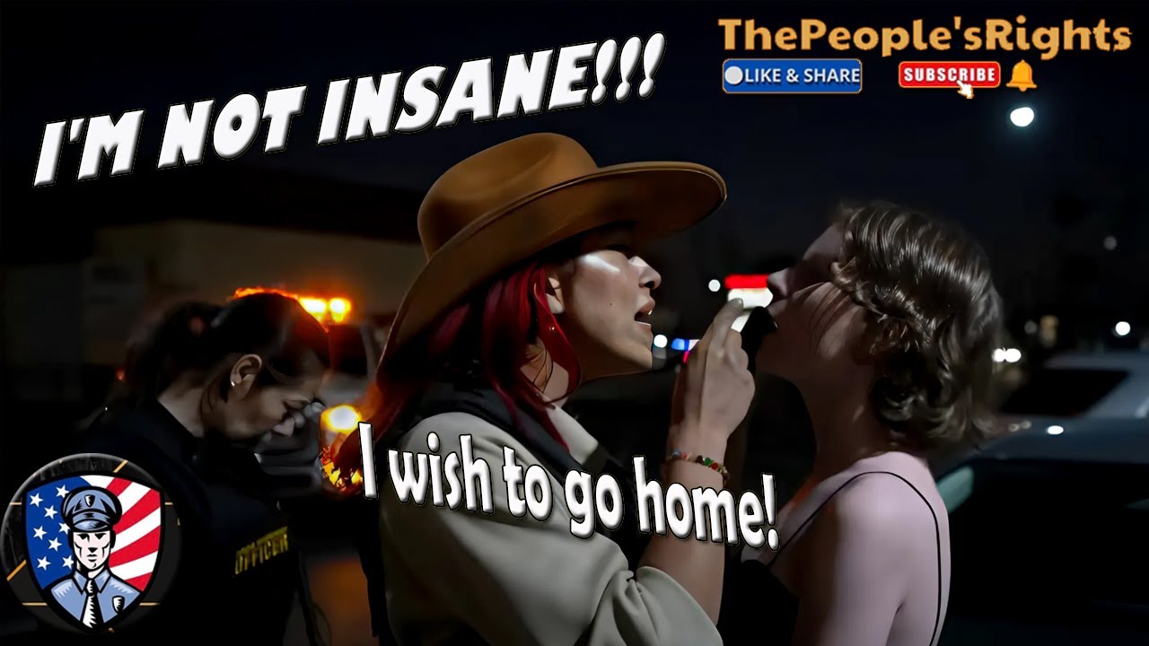 Police Evasion, Car Booting, and Information Refusal: What Are They ...