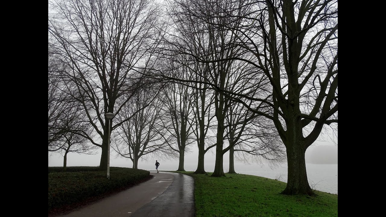 Een mistige dag in Amsterdam: Sloterplas, Sloterpark en Sloterstrand ...