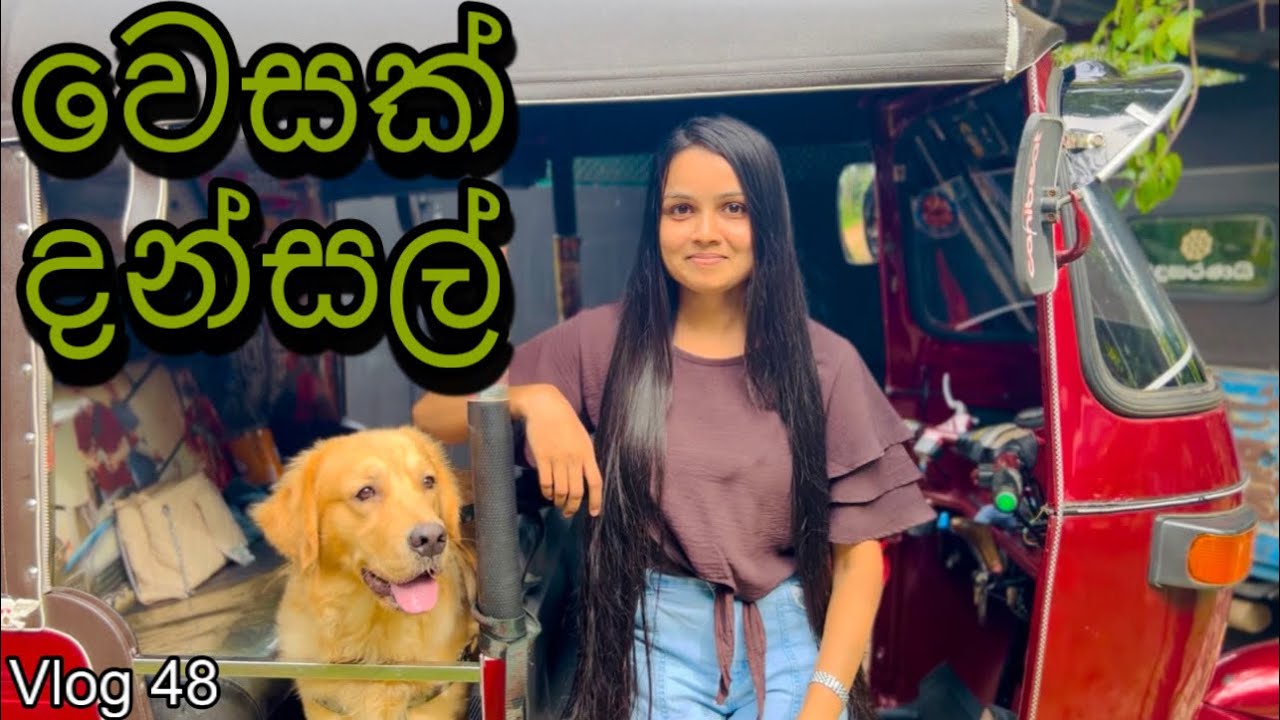 දන්සල් සීසන් part 01 | Vesak Dansal | Buddhist Festival | Srilanka ...