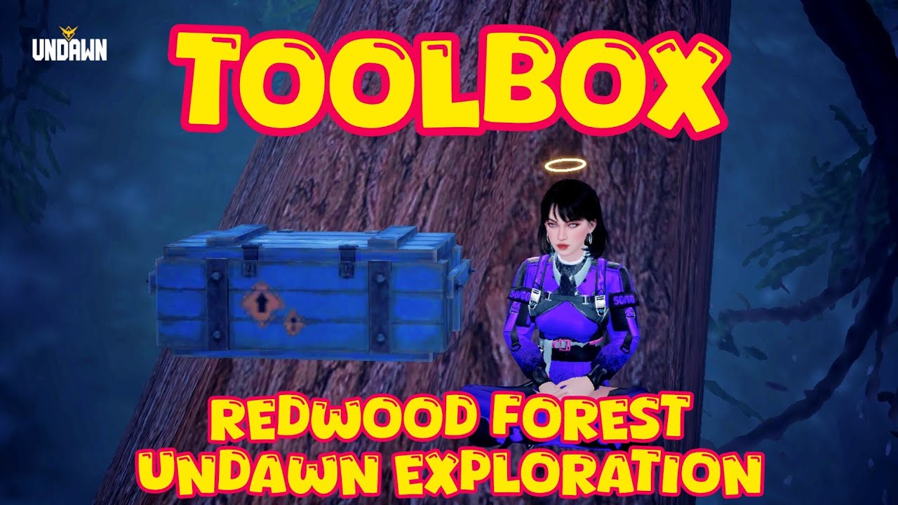ToolBox Redwood Forest - Undawn Exploration - YouTube