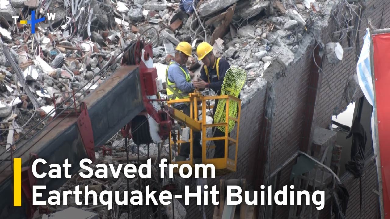 Cat Saved from Earthquake-Hit Building | TaiwanPlus News - YouTube
