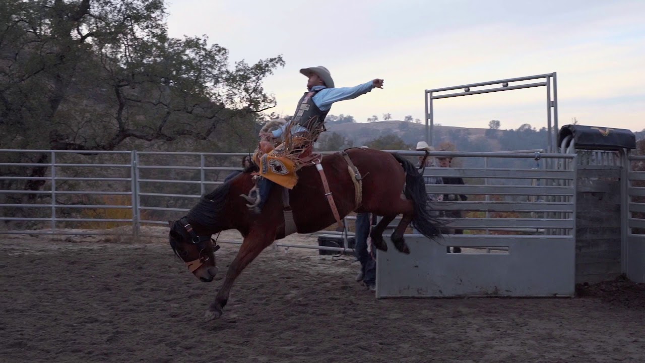 Daily Saddle Bronc Videos - Brody Cress on 71 | Veater Ranch - YouTube