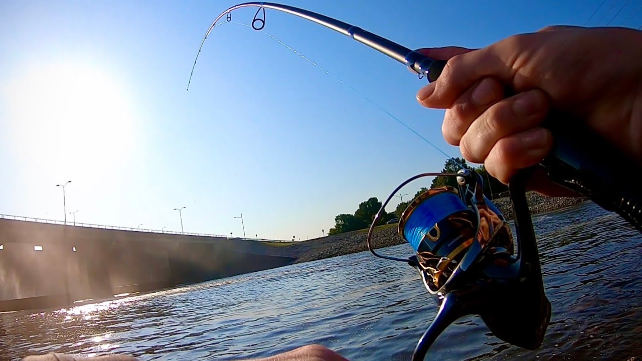 NON-STOP SPILLWAY FISHING ACTION!!! (STRIPES, LARGEMOUTH, CATFISH ...