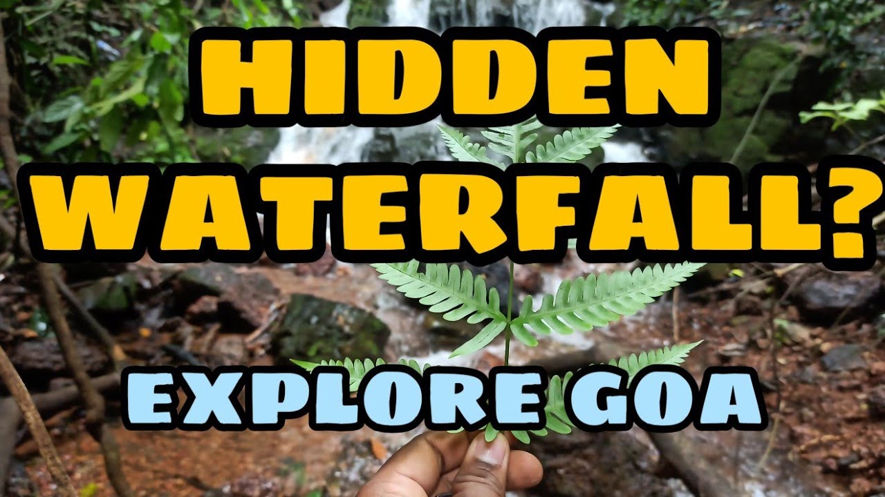 Hidden waterfall in Goa??? beautiful place | GOA | INDIA Must visit ...