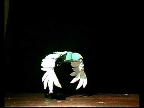 Stop Motion Bird Animation - YouTube