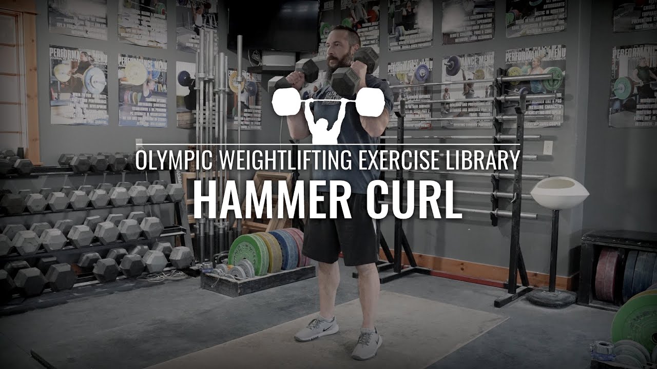 Hammer Curl | Olympic Weightlifting Exercise Library - YouTube
