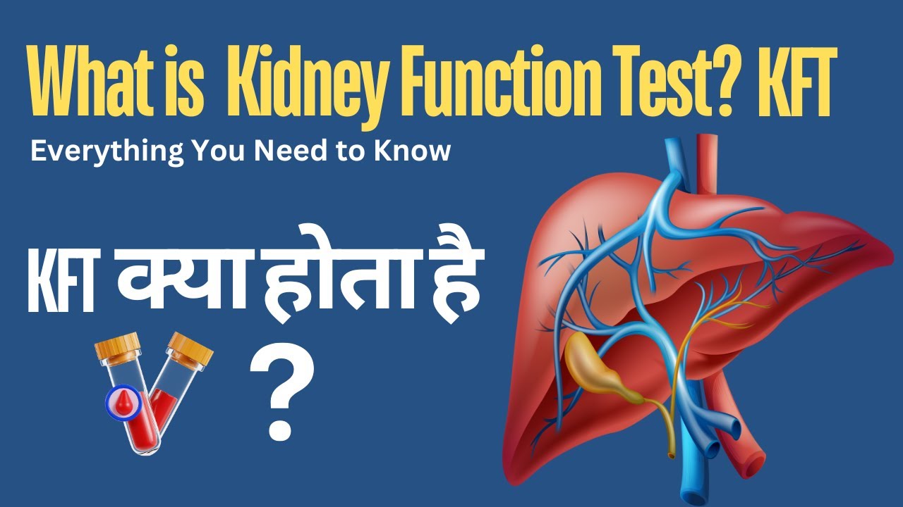 What is Kidney Function Test? | किडनी फंक्शन टेस्ट क्या है? | Wellness ...