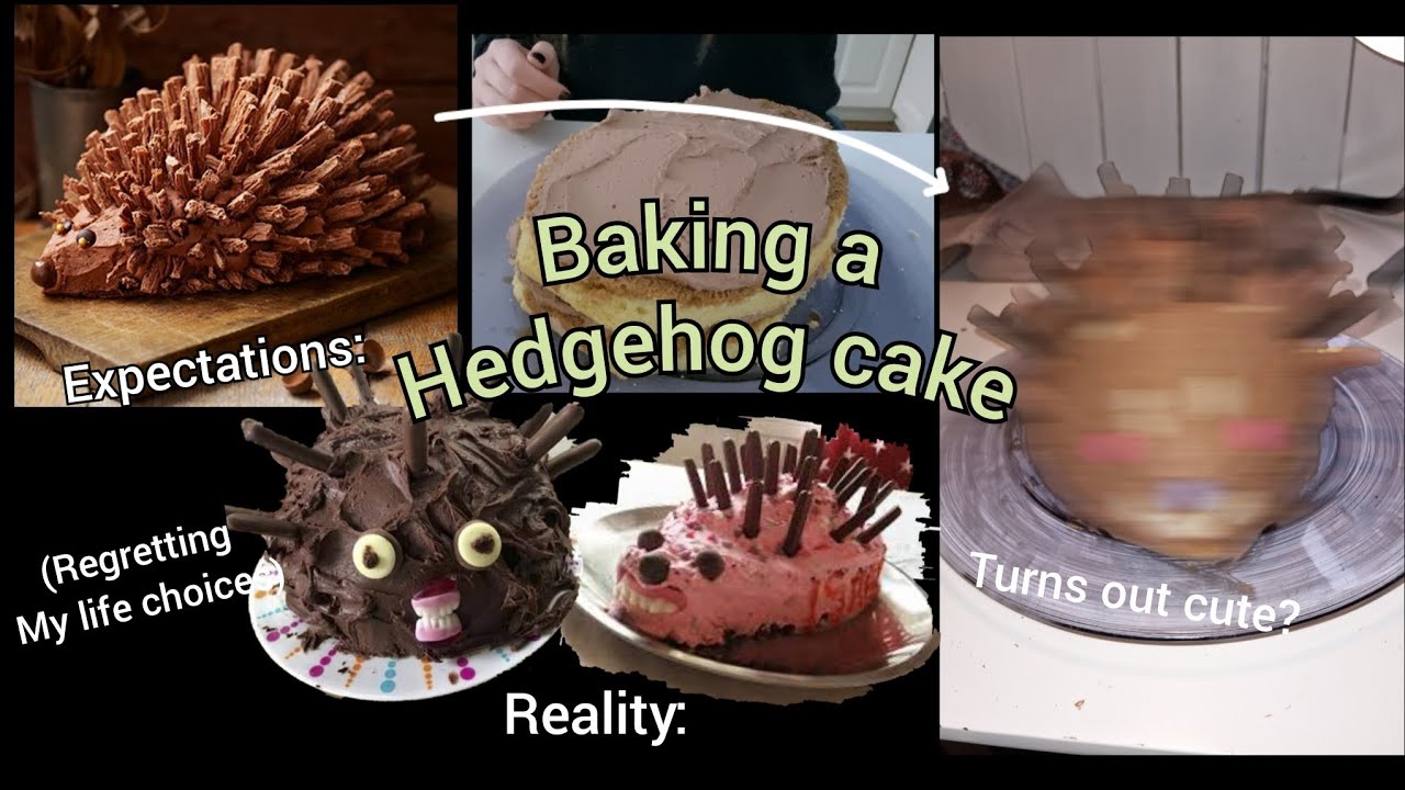Making an ugly hedgehog cake 🦔 - YouTube