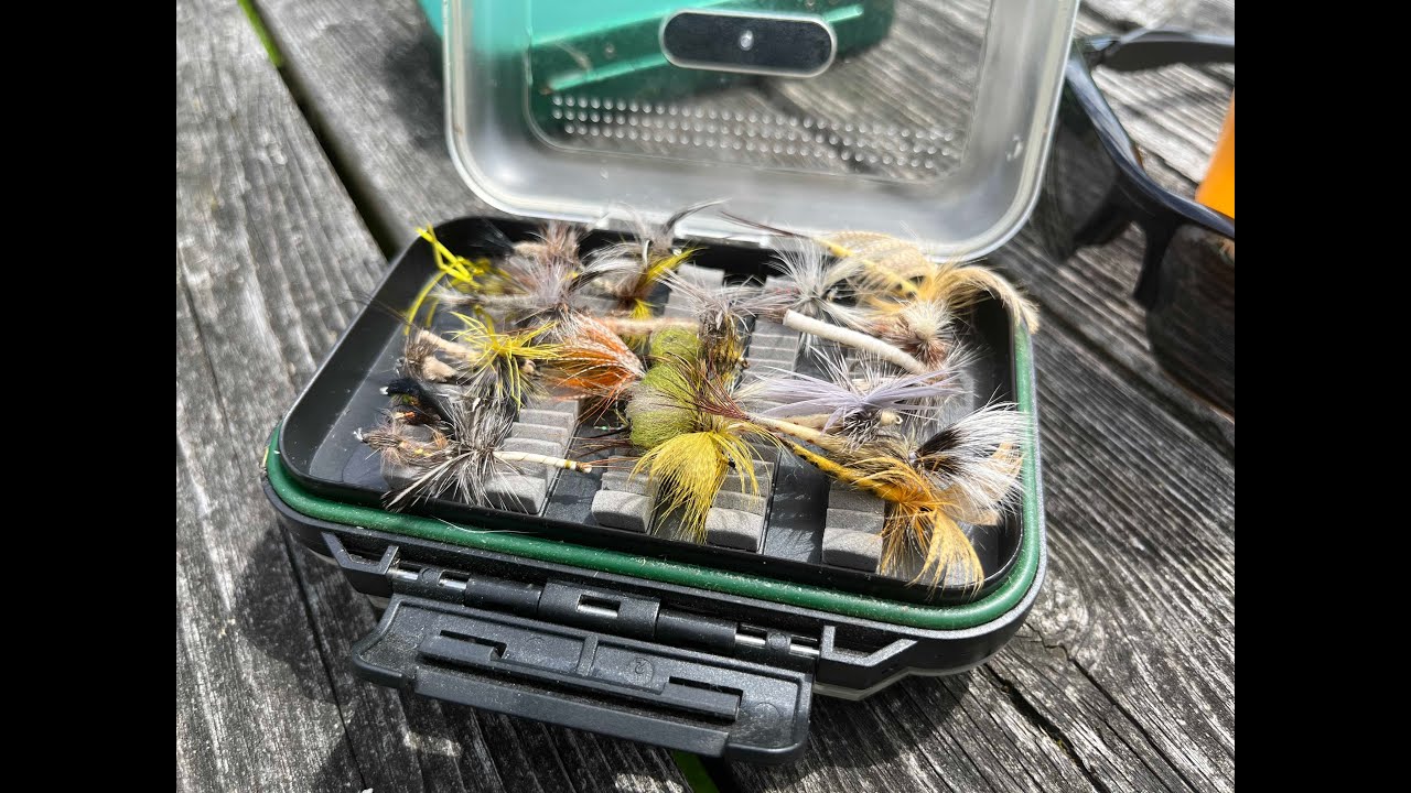 River Test Fishing 2022 - YouTube