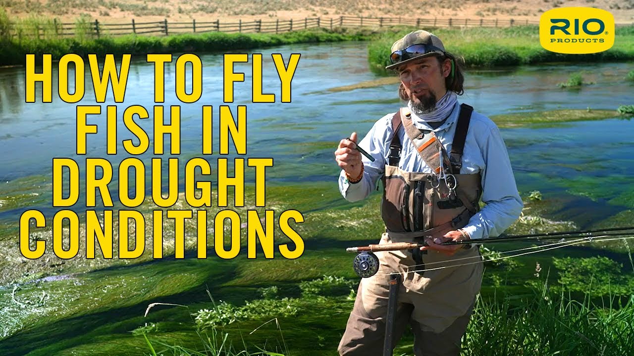 How To Fish in Drought Conditions - S5 E9 - YouTube