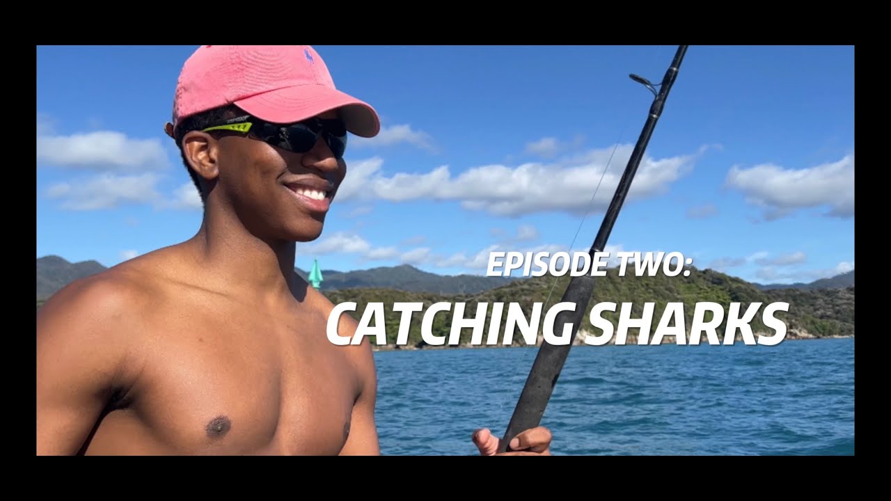 CATCHING SHARKS IN NEW ZEALAND 🦈 - YouTube