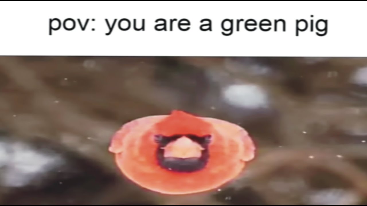 GOOFY AND CURSED MEMES pt10 - YouTube