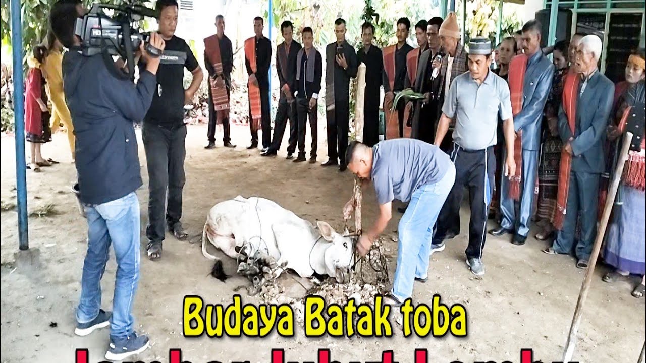 ACARA ADAT BATAK || JAMBAR JUHUT LOMBU|| POTONG LOMBU - YouTube