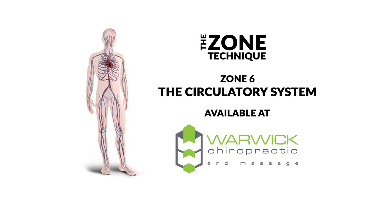 Zone 6 - The Circulatory System Zone Explained | Zone Technique Warwick ...