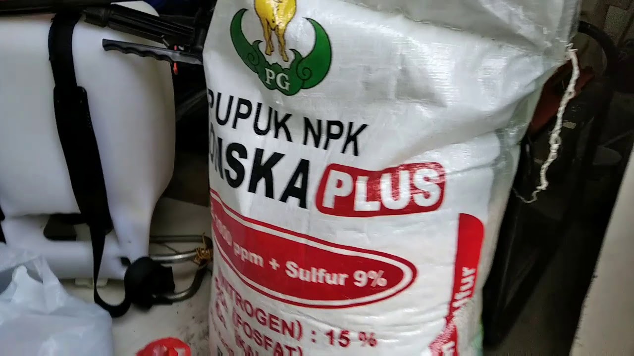Cara Pengolahan Tanah & Pemberian Pupuk Dasar - YouTube
