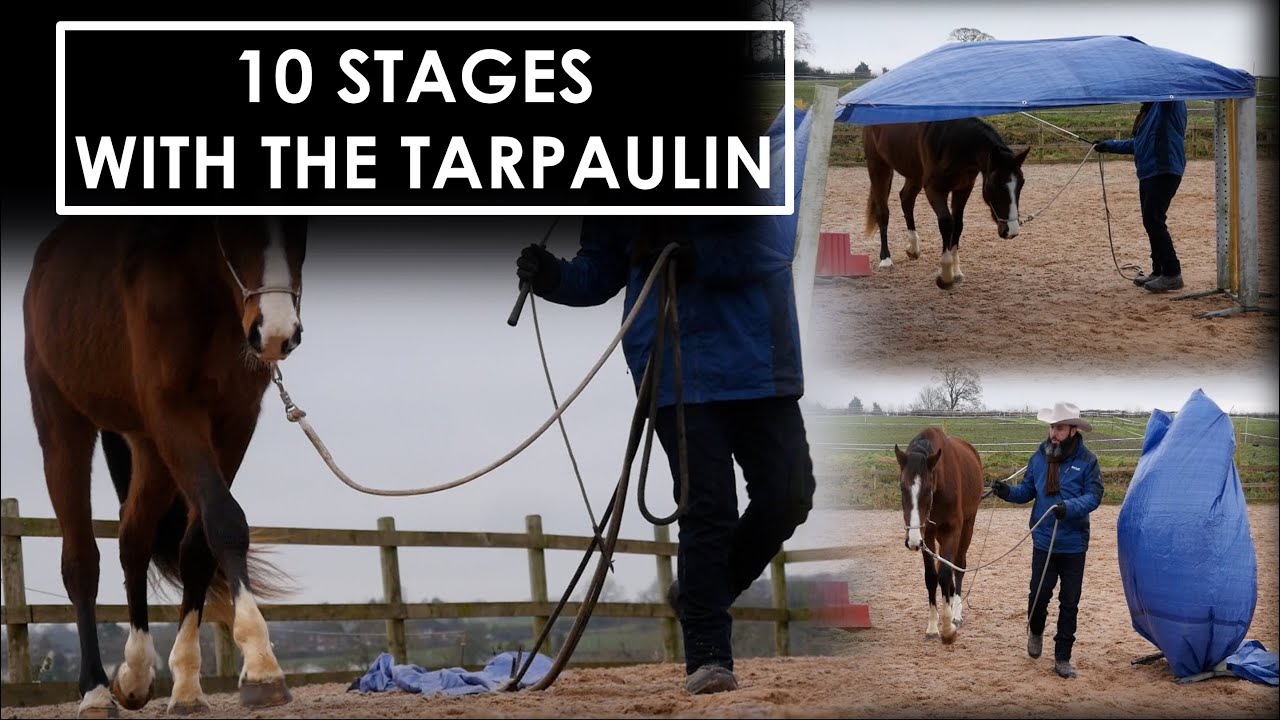 10 Stages with The tarpaulin - YouTube