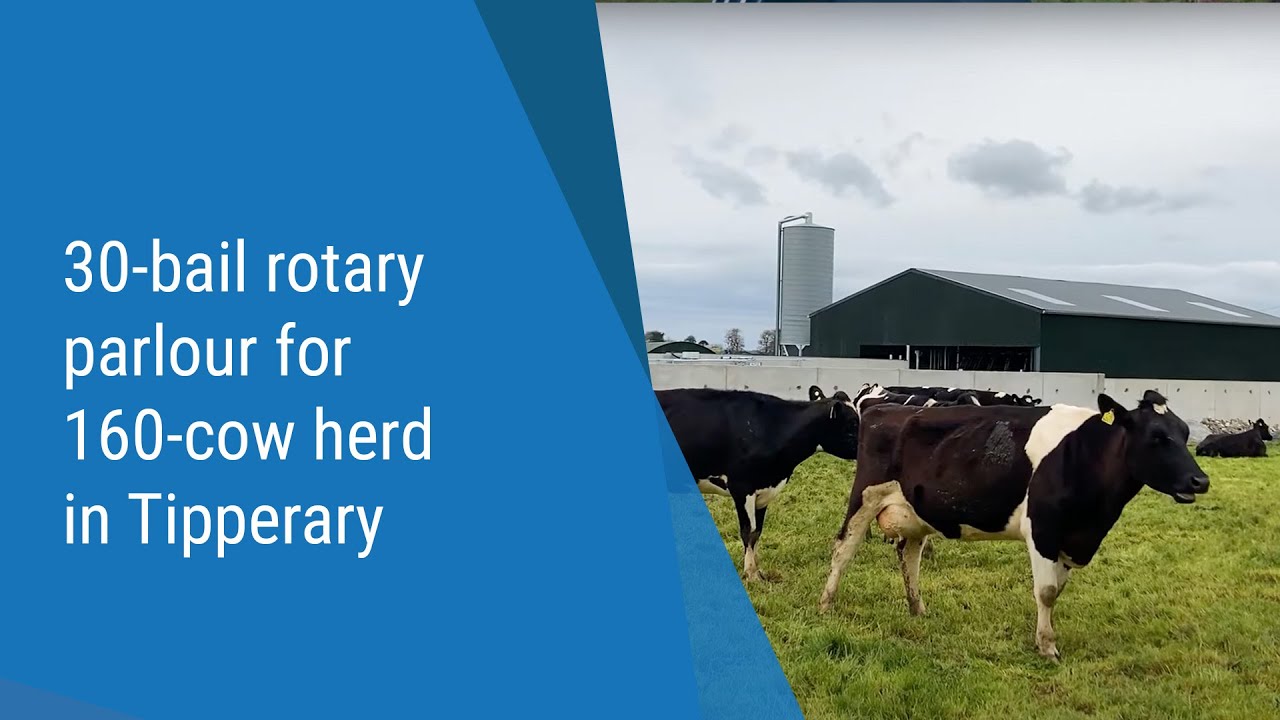 Buildings Focus: 30-bail rotary parlour for 160-cow herd in Tipperary ...