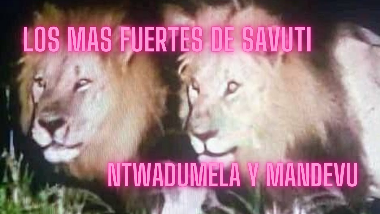 Ntwadumela y Mandevu - YouTube