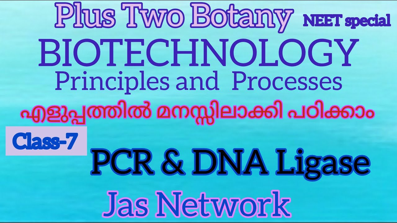 Biotechnology Class 7 Pcr Polymerase Chain Reaction Plus Two