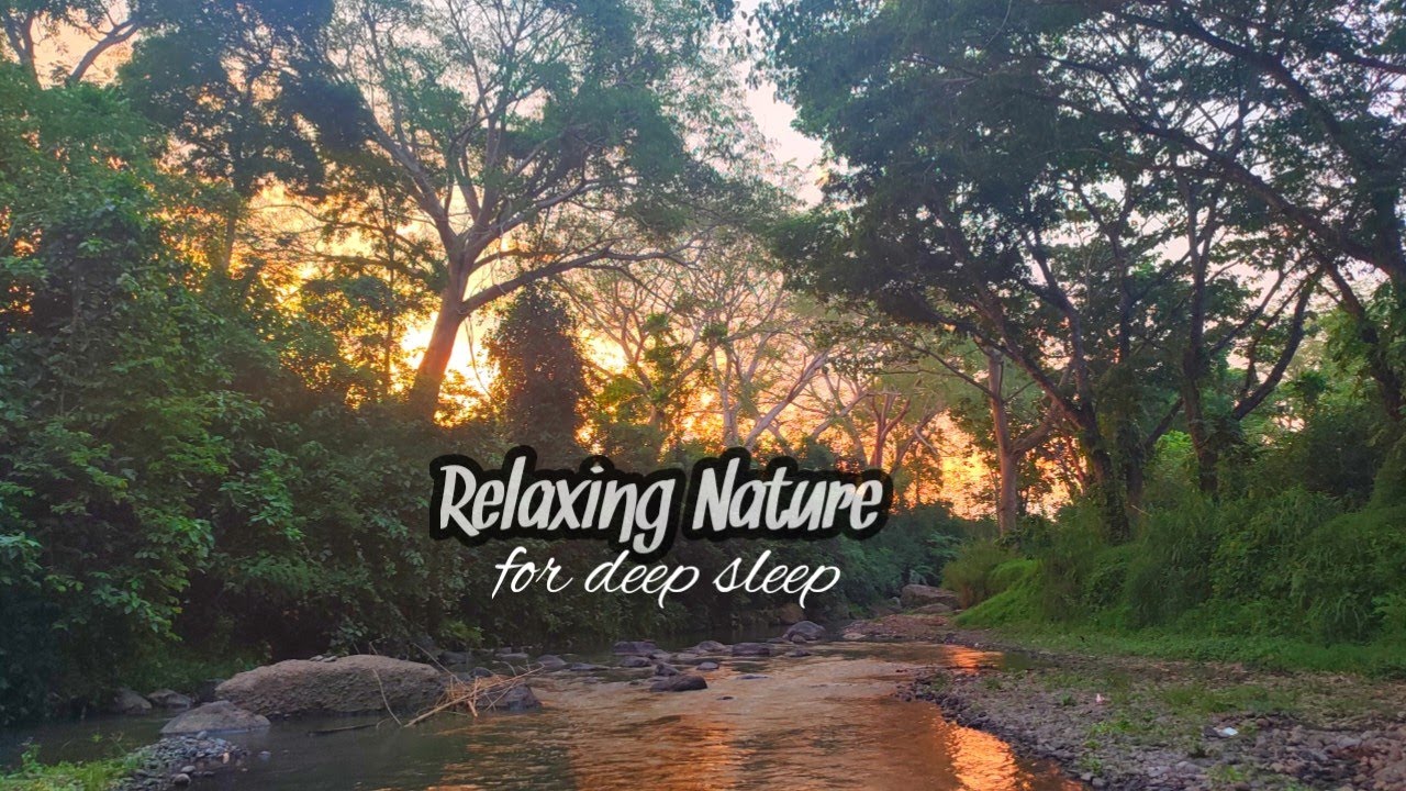 The real river sounds, gurgling water and natural views #riversounds #relaxing #waterfall # ...