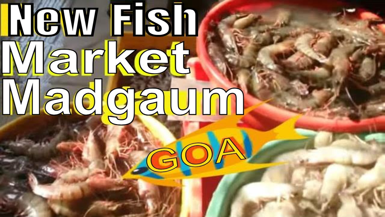 Margao fish market in Goa India | Madgaum fish market new in Goa - YouTube